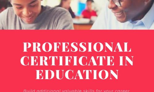 Core Skills in Early Years – Educrest Institute